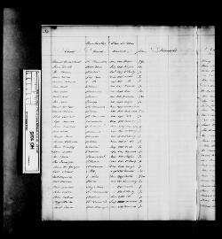 New South Wales. General Muster