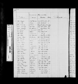 New South Wales. General Muster