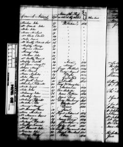 New South Wales. General Muster: L-Q