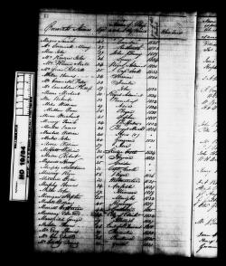 New South Wales. General Muster: L-Q