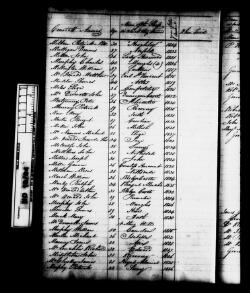 New South Wales. General Muster: L-Q