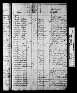 New South Wales. General Muster