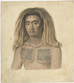 A native of the Island of Tucopea [i.e. Tikopia] [picture]
