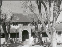 Moree Court House [picture]