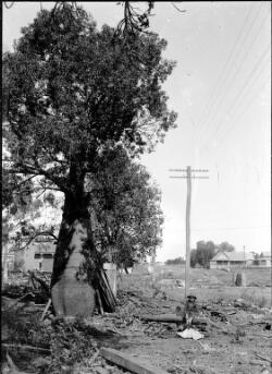 Looking south along Capella Street with Gordon Pullar jr. Clermont ...