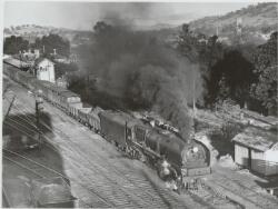 Locomotive H220 Heavy Harry and goods train at Wodonga, Victoria [picture].