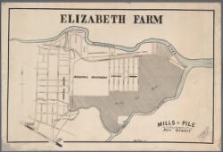 Elizabeth Farm [cartographic material]