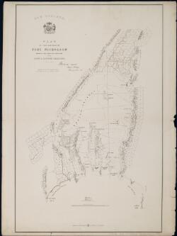 Plan of the harbour of Port Nicholson shewing the relative positions of ...