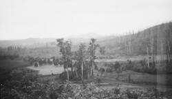 Timber country, Launceston, Tasmania, approximately 1930, 1