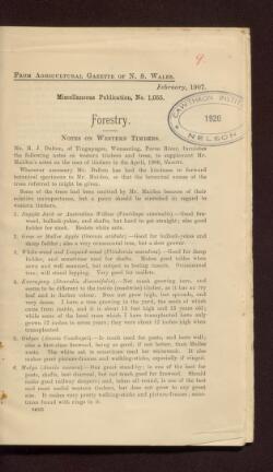 Forestry. Notes on western timbers.