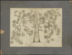 Paterson family tree