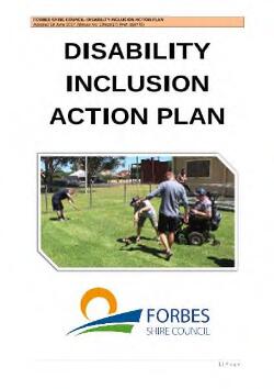 Disability Inclusion Action Plan