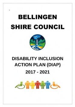 Disability Inclusion Action Plan (DIAP) 2017-2021