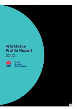 Workforce profile report...