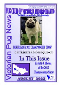 Victorian pug news