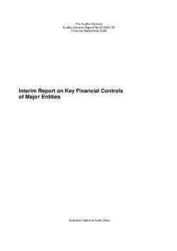Interim report on key financial controls of major entities