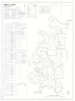 Parish of Keepit, County of Darling [cartographic material]