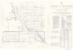 Parish of Mungery, County of Leichhardt [cartographic material] : Land ...